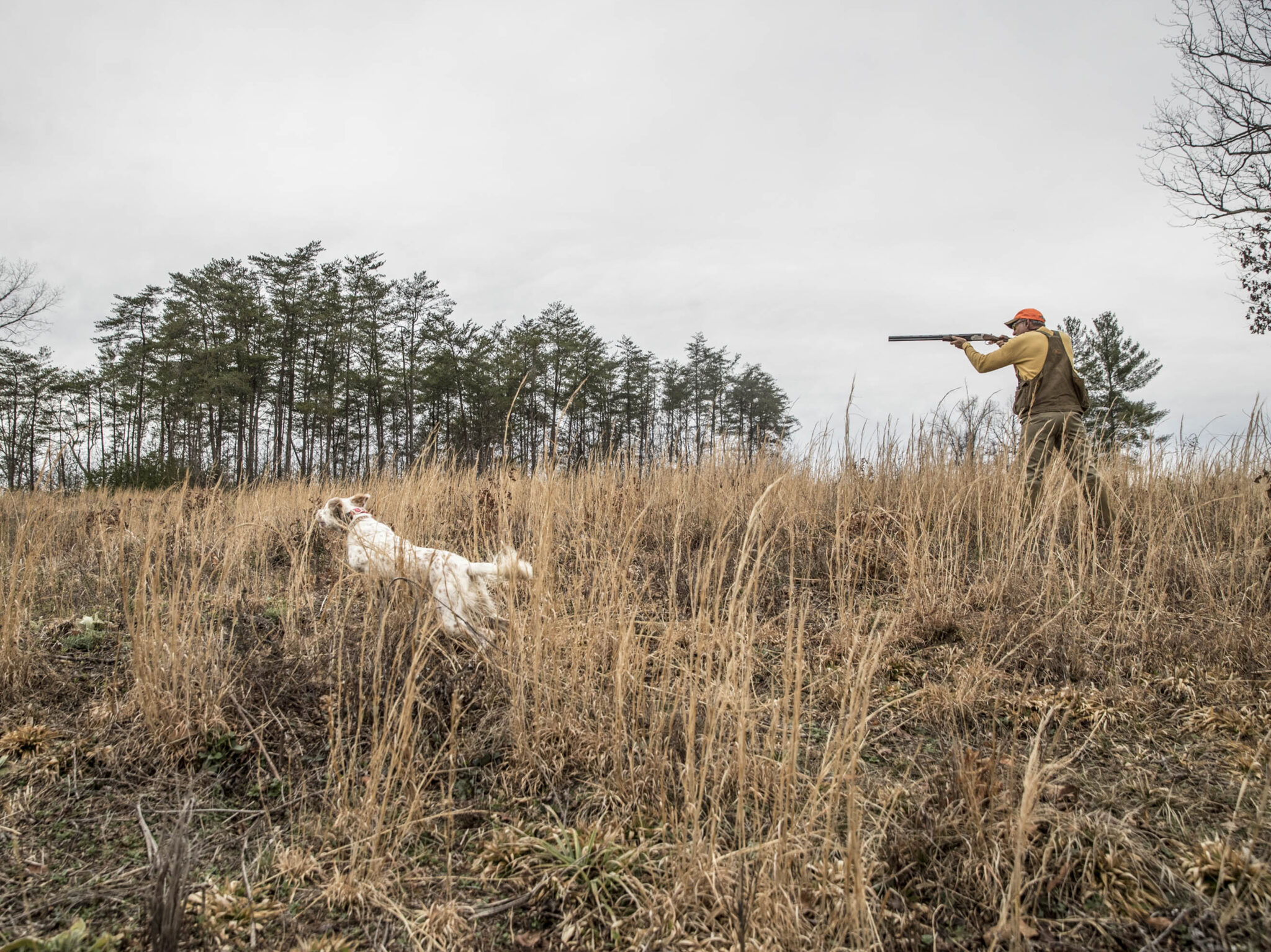 The Hunt | Sawbriar Hunting